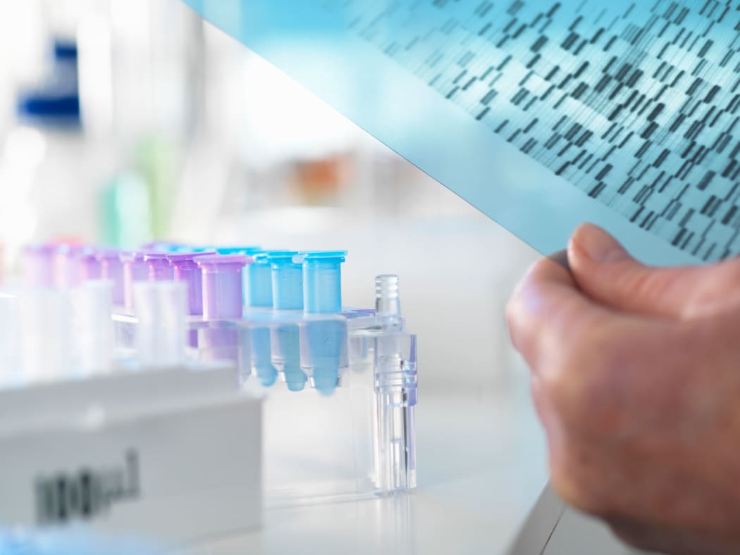 Nights with Karyn Hay for Tuesday 24 October 2017 Nights with Karyn Hay ...