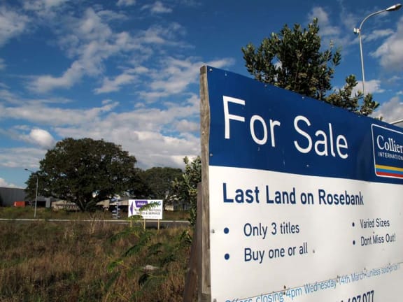 Kennedy Warne - The Rosebank Project | A Gallery from Nine To Noon ...