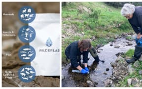 Nine To Noon for Tuesday 1 November 2022 Nine To Noon | RNZ