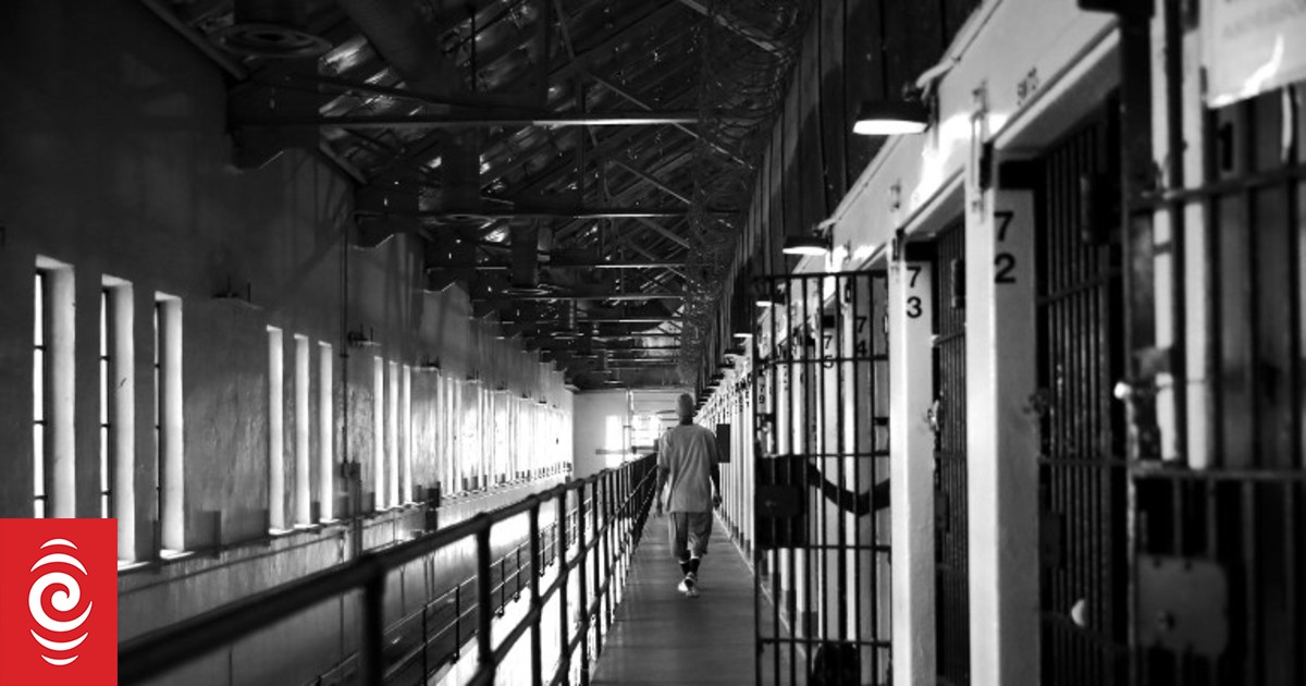 The Panel with Cindy Mitchener and Peter Fa'afiu (Part 2) | RNZ