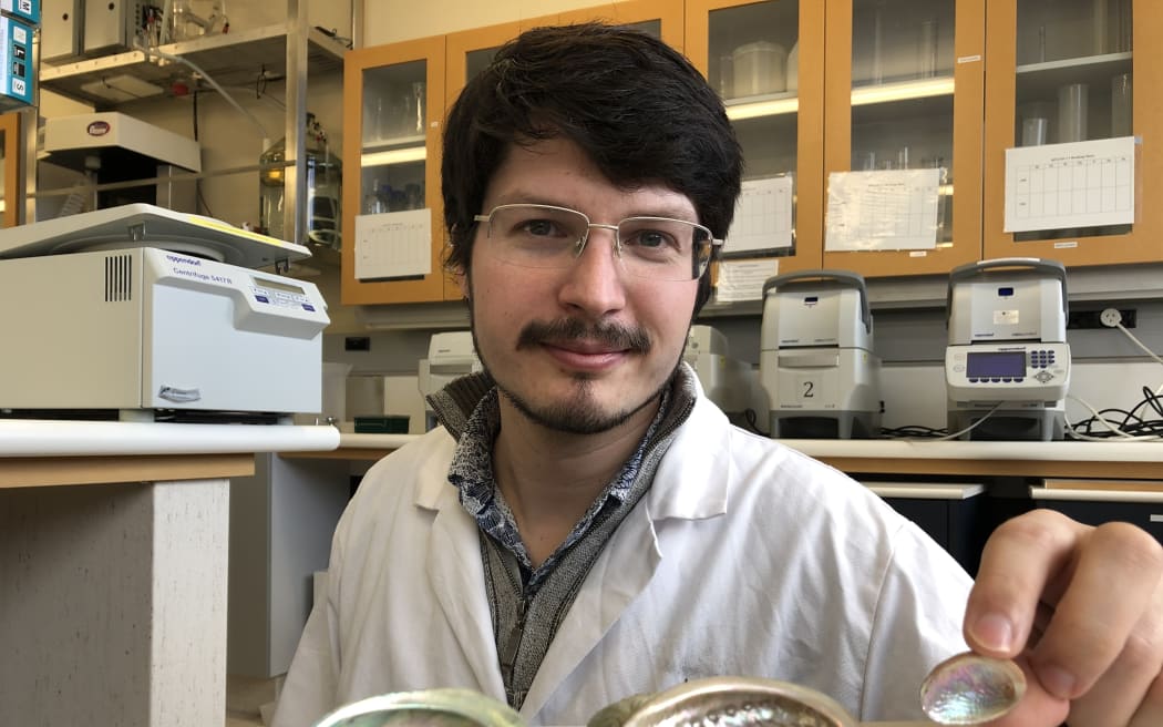 Afternoons with Jesse Mulligan for Thursday 25 August 2022 Afternoons ...