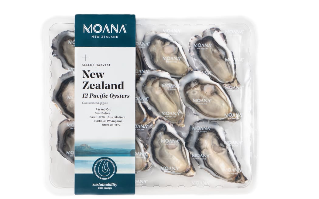 New oyster hatchery aims to strengthen New Zealand production | RNZ News