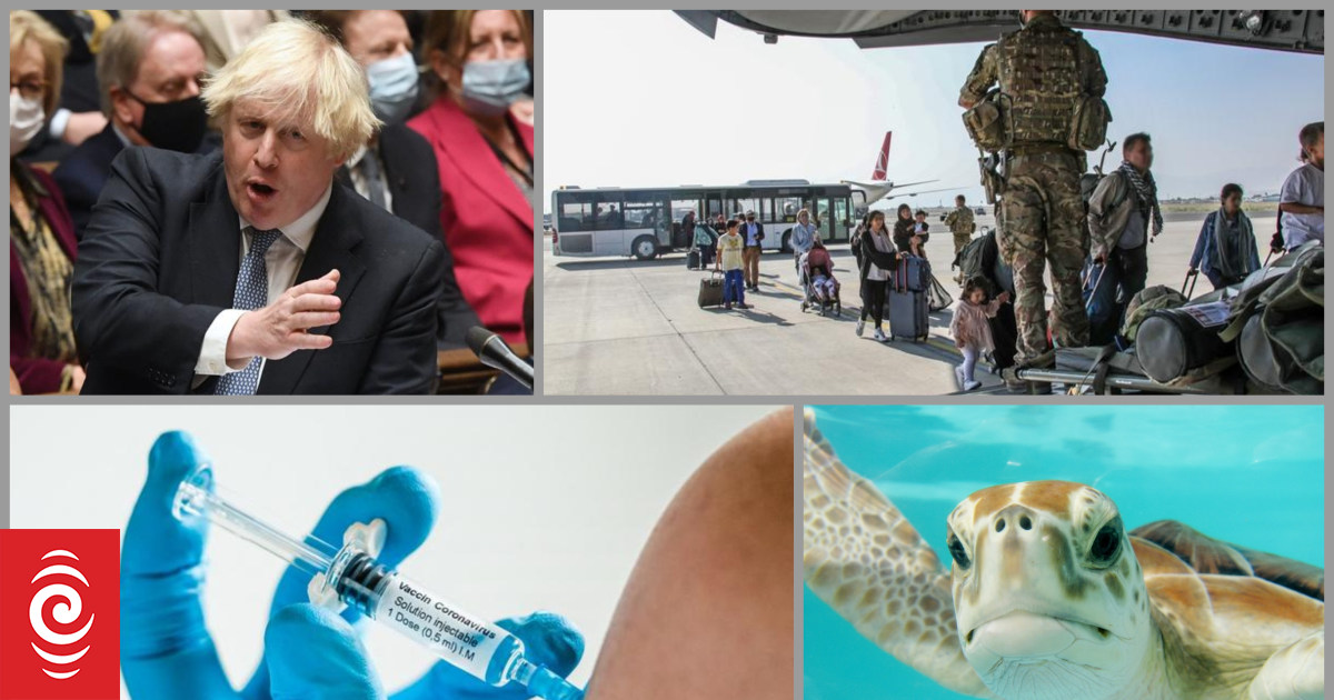 UK correspondent Matthew Parris | RNZ