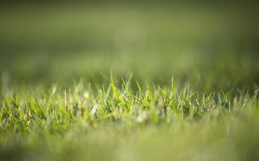 The Pre-Panel with Jack Yan and Alison Mau | RNZ