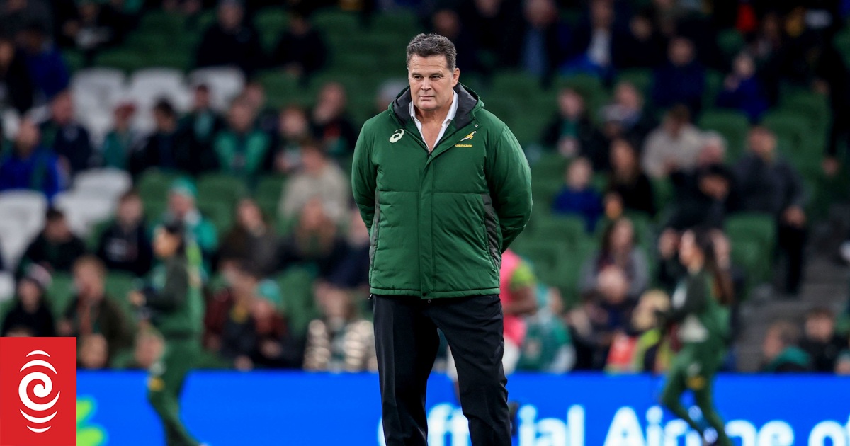 Former Springbok captain can't defend Eramus comments | RNZ News