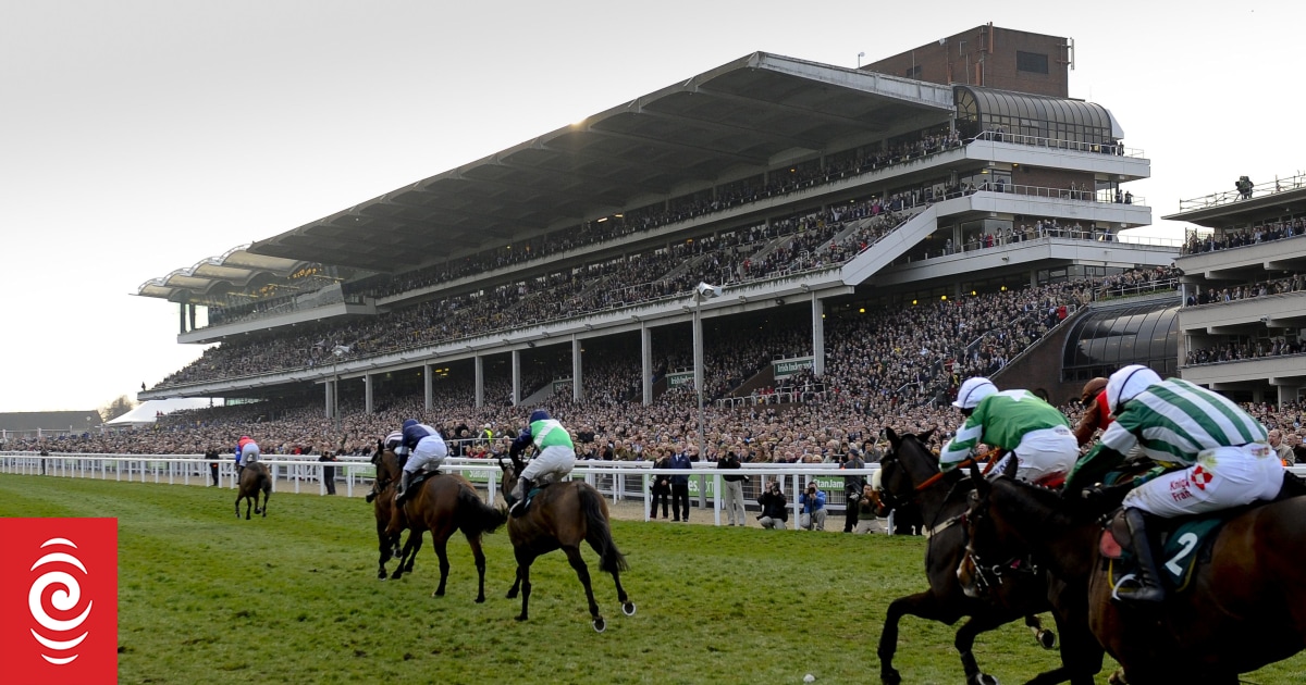 Outbreak of equine flu stops racing in Britain | RNZ News