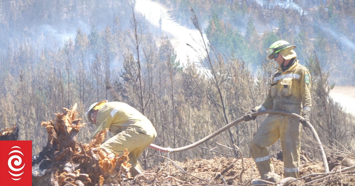 Pigeon Valley fire aftermath: 'Biggest recovery effort ever made' | RNZ ...