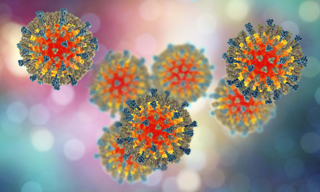 Measles "destroys immune system memory" | RNZ