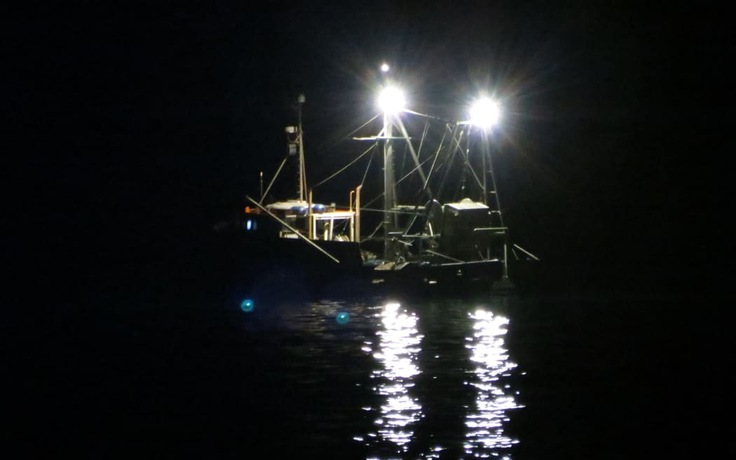 Researchers investigate impact of light pollution at sea on migratory ...