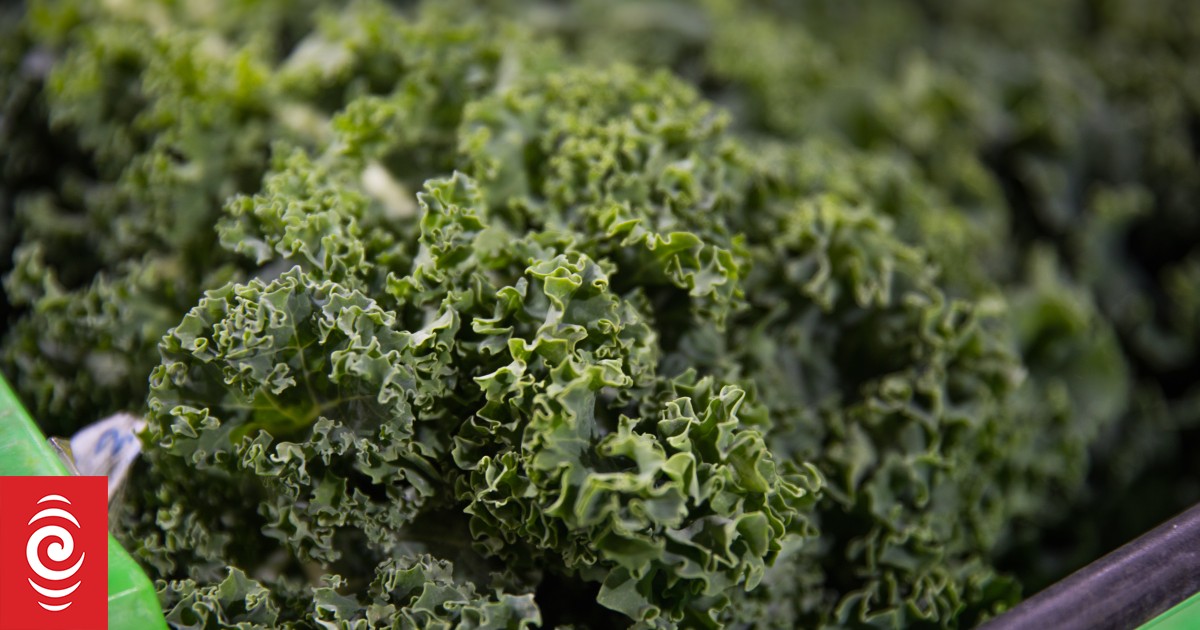 Fruit and Vege Report with Glenn Forsyth | RNZ