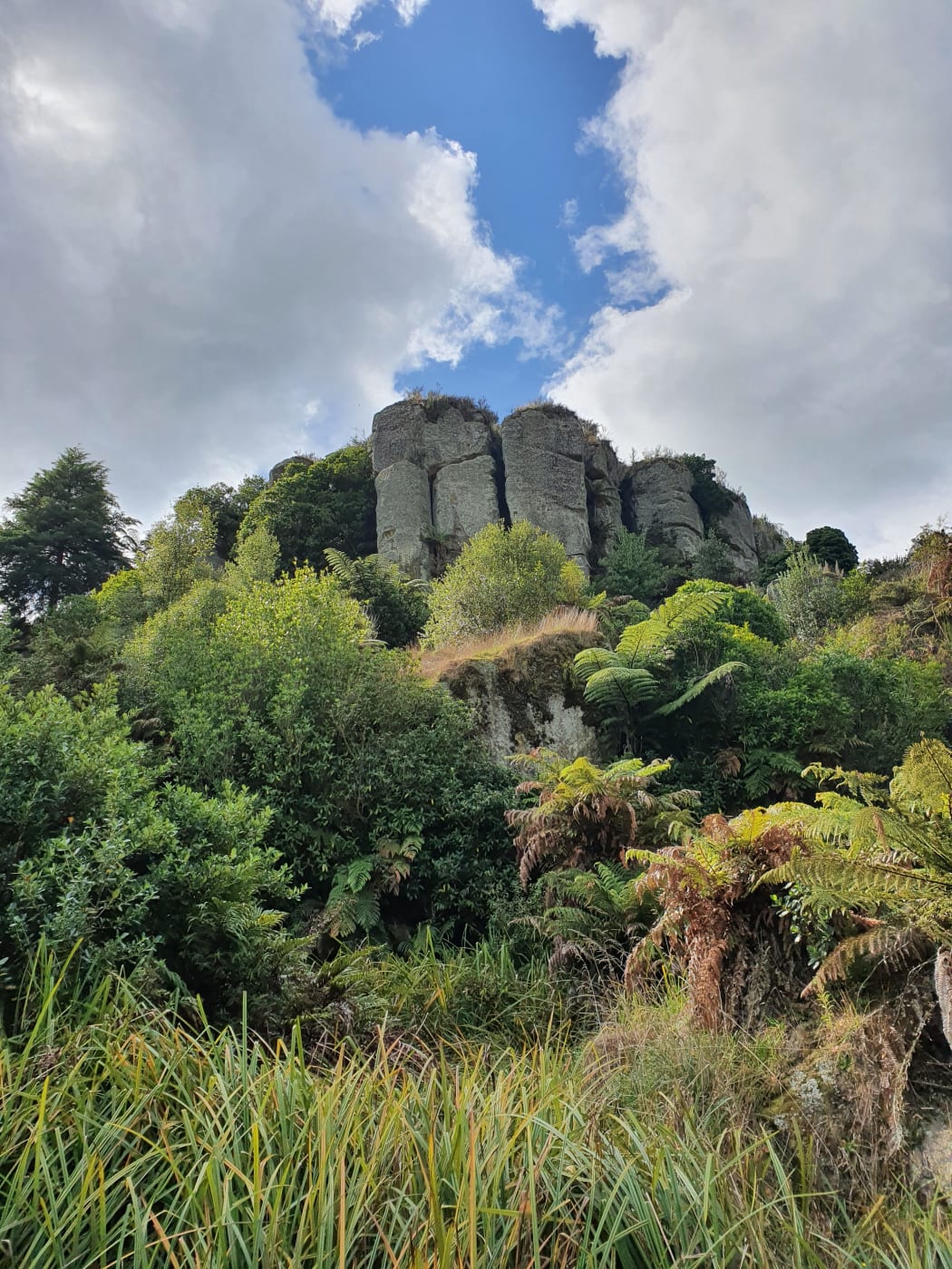 A Roar Experience | RNZ