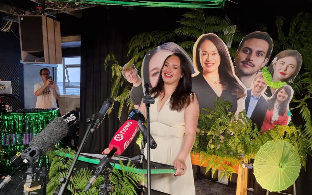 Failed Wellington mayoral candidate Paul Eagle says 'everyone voted on ...