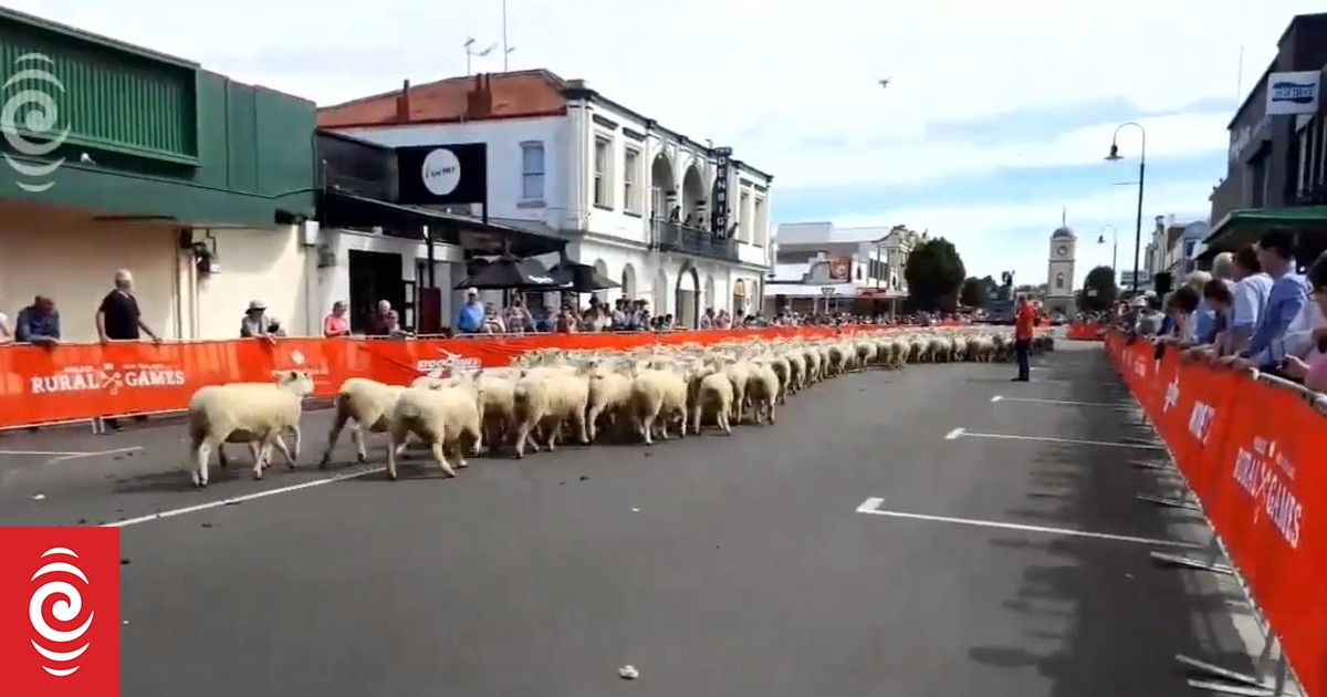 Rural games 'represent a rural way of life' | RNZ