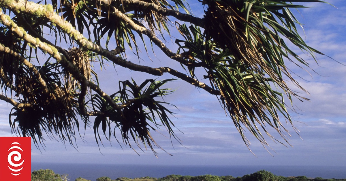 Tongan govt offers land for Ha'apai residents | RNZ News