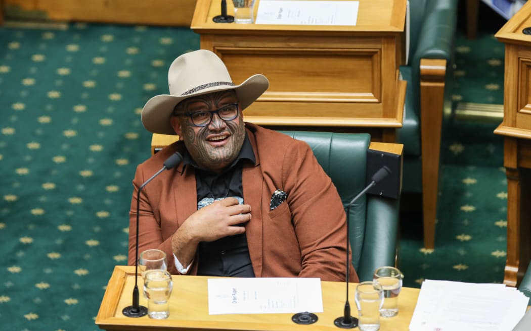 Duelling Māori electoral bills in Parliament’s week | RNZ