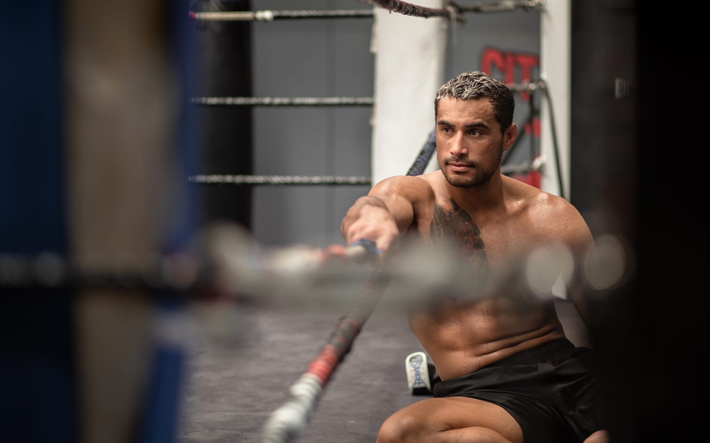 UFC fighter Carlos Ulberg: 'This is my career, but also my university ...