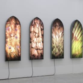 New Arts Laureate, weaver and artist Dr Maureen Lander | RNZ