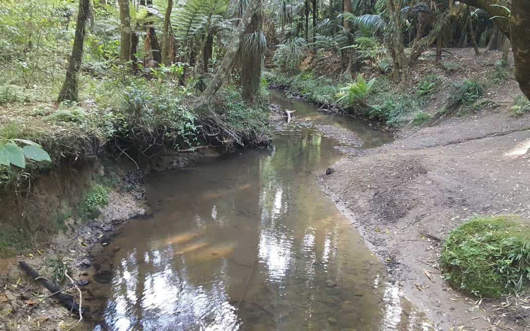 Regenerating Puhinui stream with all of its stake holders | RNZ