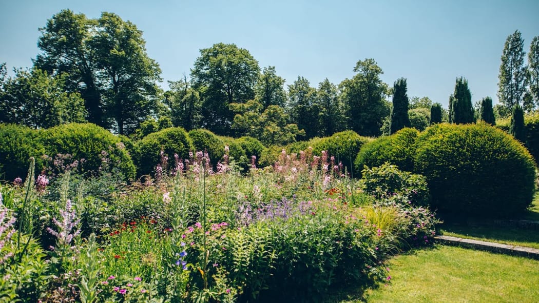 Dr Sue Stuart-Smith: Sense of purpose grows in those who garden | RNZ