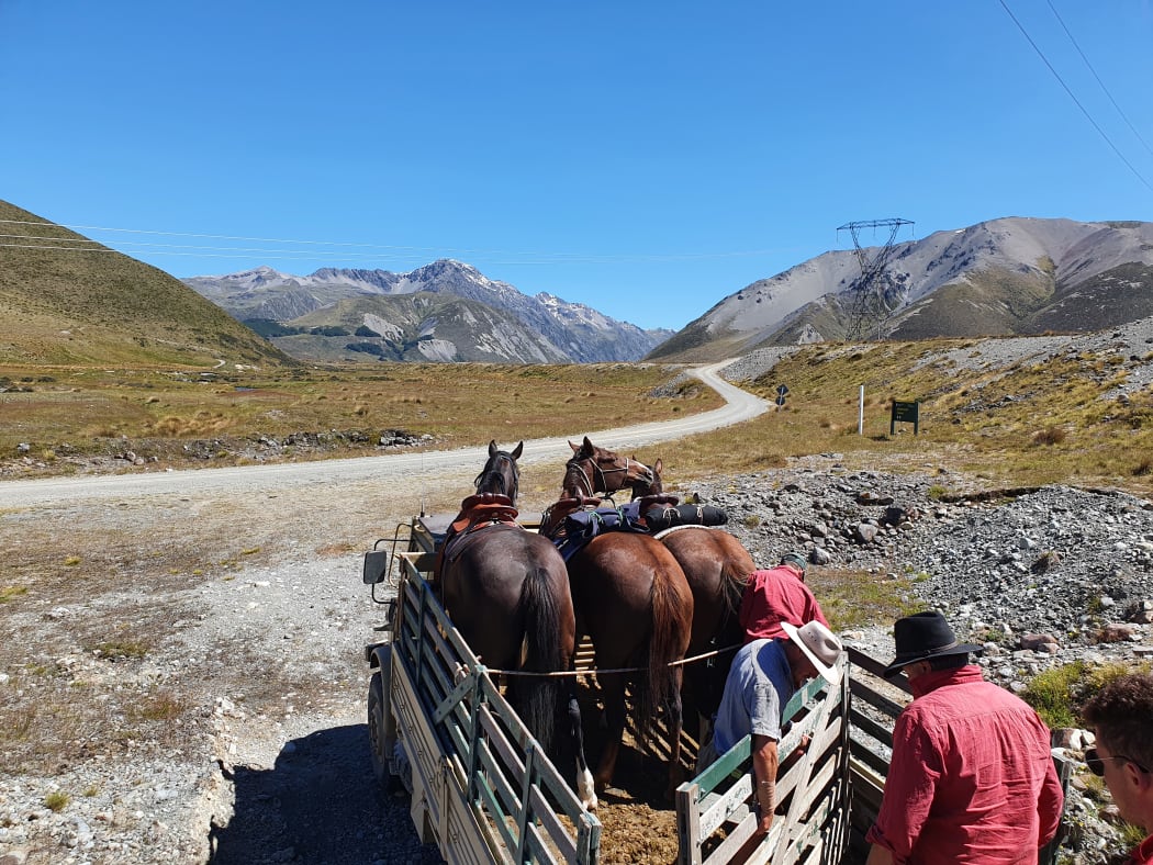 Mustering at Molesworth | RNZ