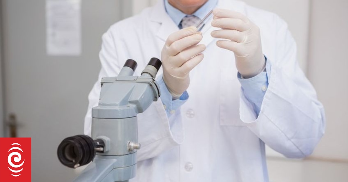 Kiwi scientists develop world's first algae-based pain medication | RNZ ... Kiwi scientists develop world's first algae-based pain medication | RNZ ...