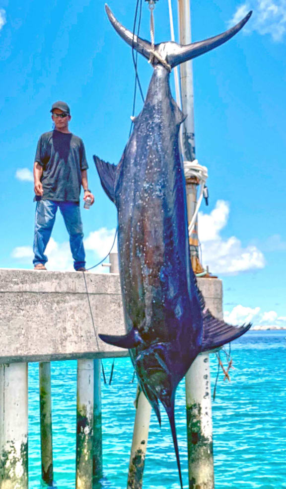Marshalls angler catches massive 429kg marlin | RNZ News