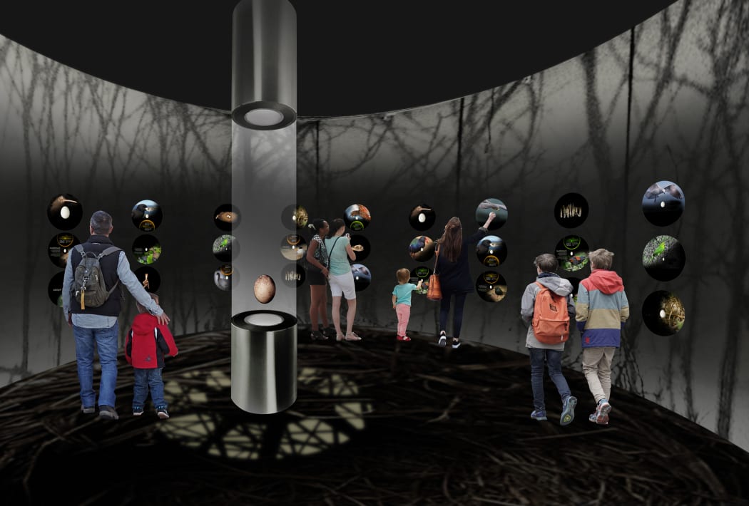 Inside Te Papa's new $12 million nature exhibition | RNZ News