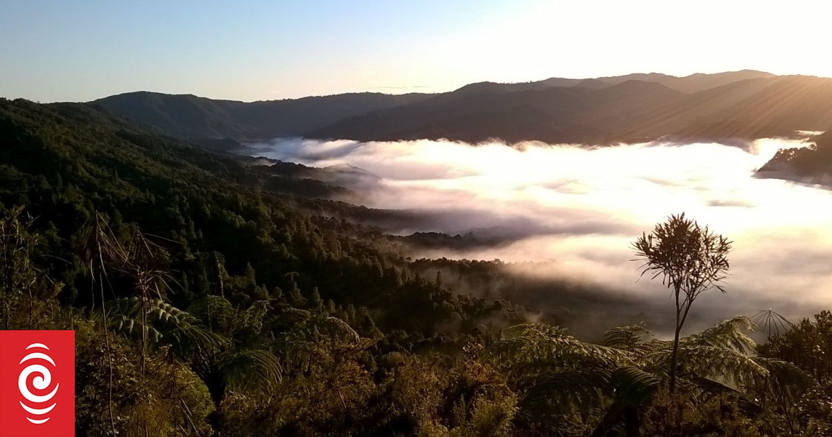 Hunua Ranges trampers found safe and well | RNZ News