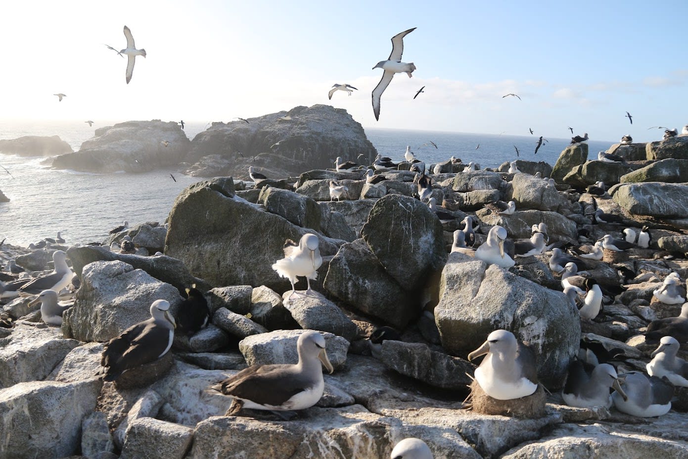 Nine To Noon for Tuesday 14 March 2023 Nine To Noon | RNZ