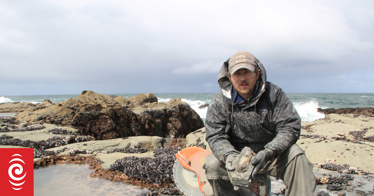 Dr Nick Pyenson: Spying on Whales | RNZ
