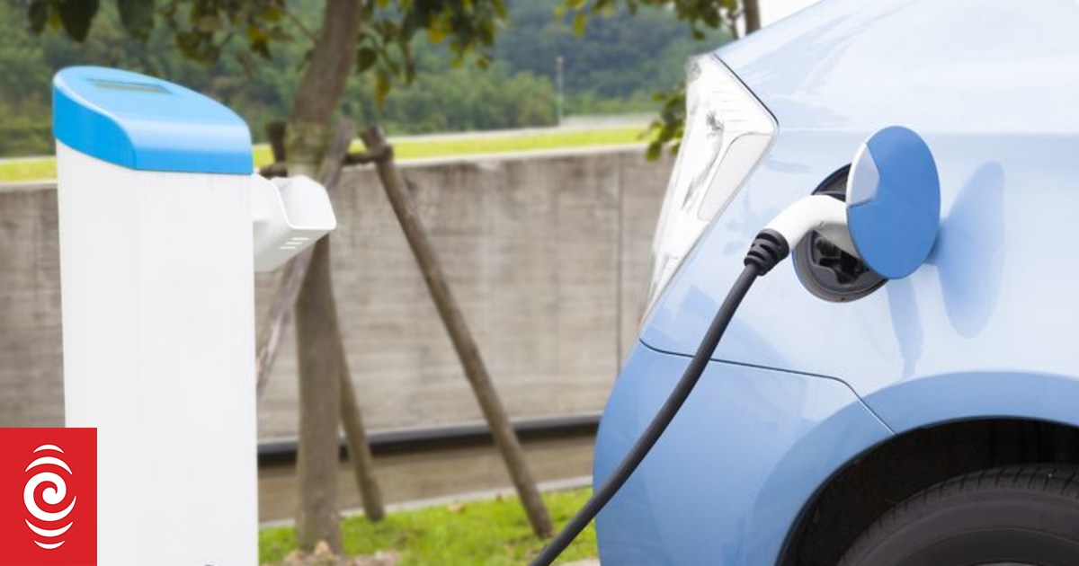 Motor industry responds to electric import discount plan | RNZ
