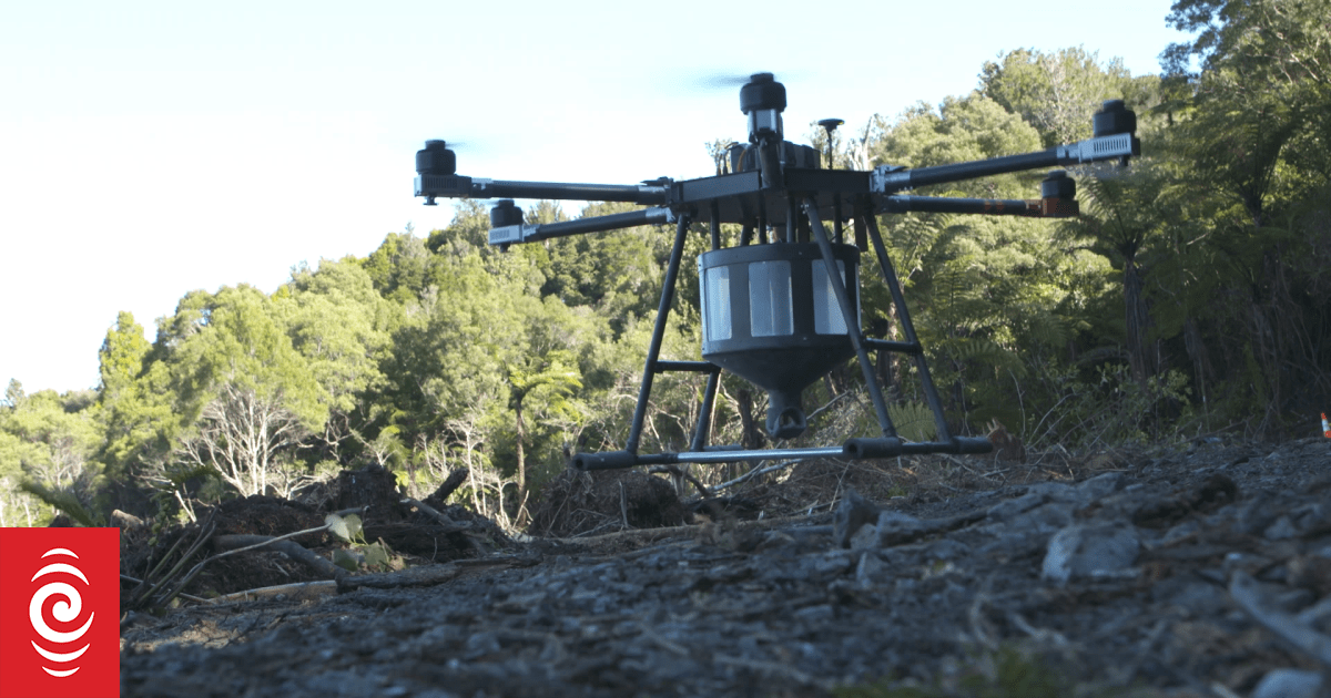 Seed-dropping drone may be future of tree planting | RNZ