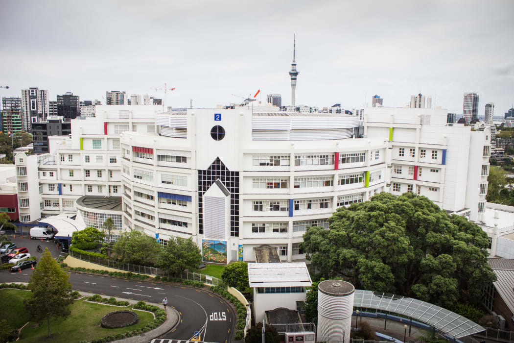 Homicide investigation launched into toddler's death | RNZ News