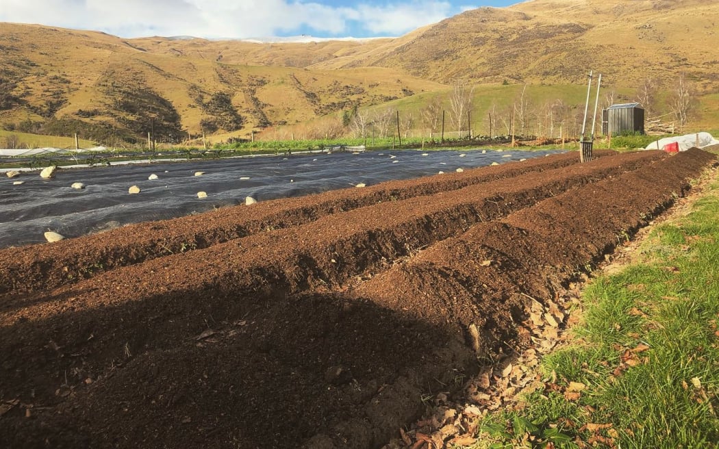 Adventure trails and organic garden add X-factor to family farm | RNZ