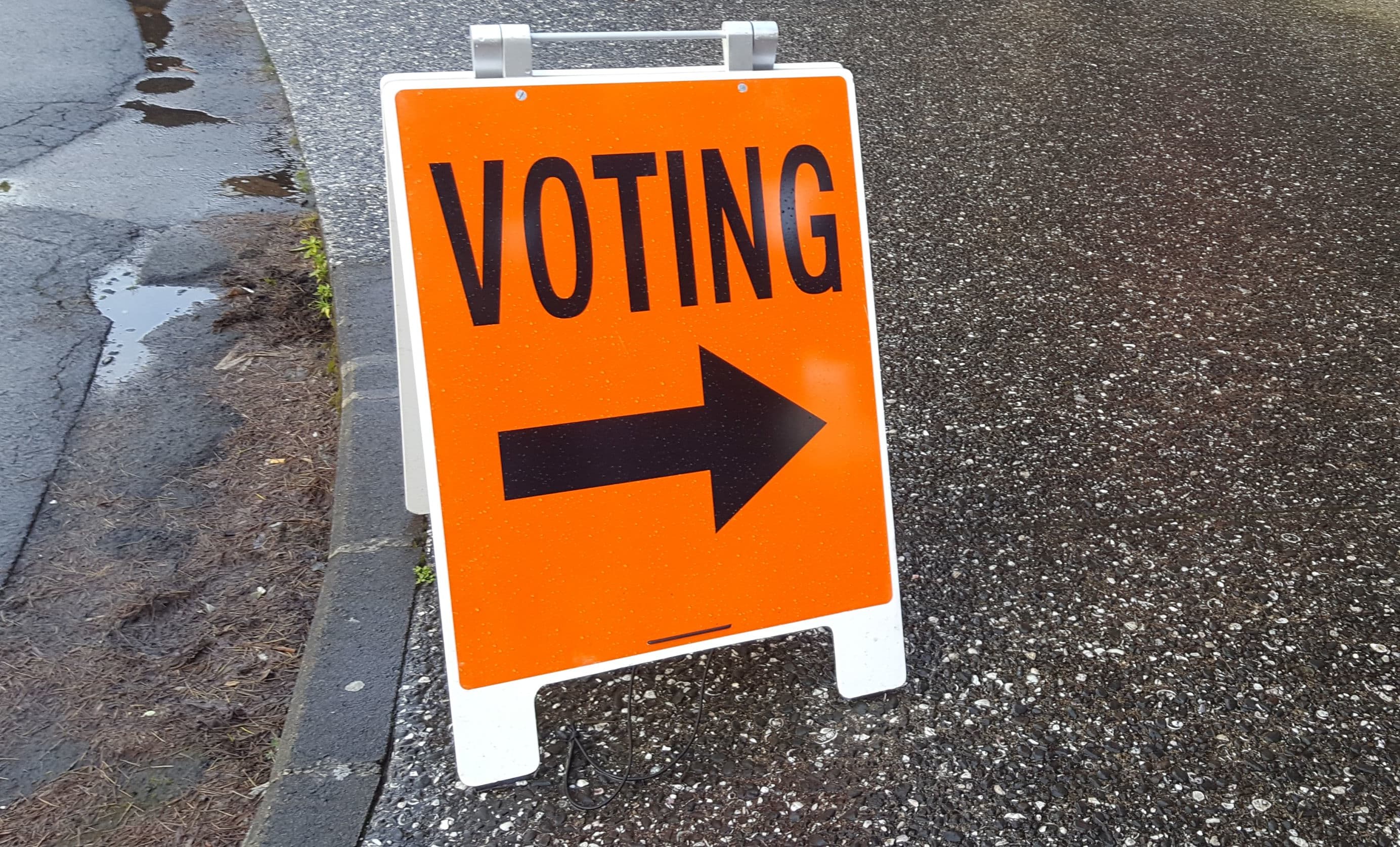 'Archaic' law allows multiple-property owners extra voting rights | RNZ ...