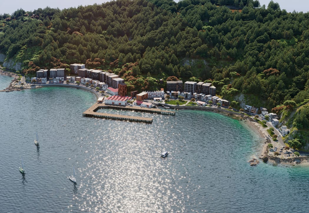 Wellington iwi begins occupation at Shelly Bay | RNZ News