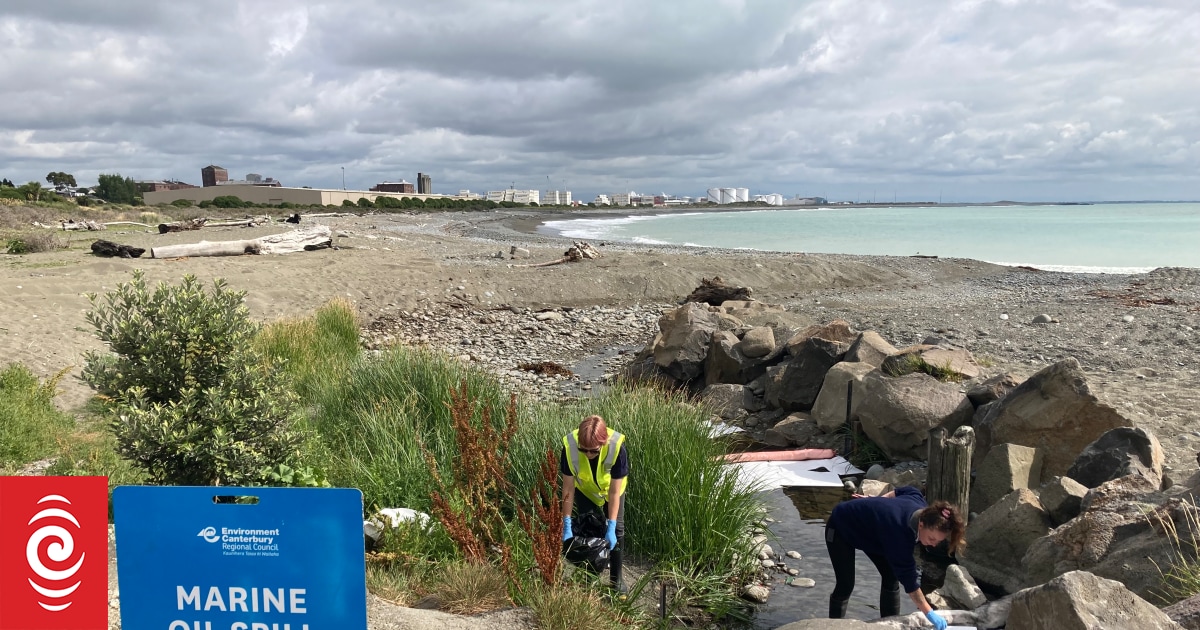 Oil spill at Timaru beach contained | RNZ News