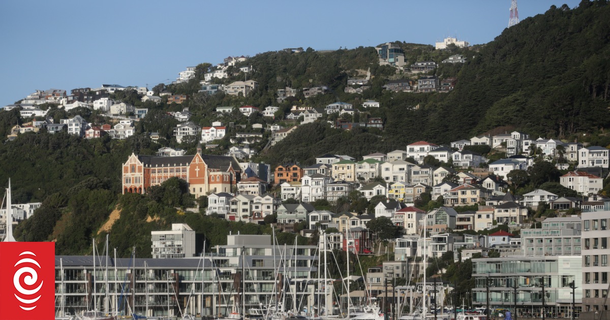 Wellington set to build up, not out | RNZ
