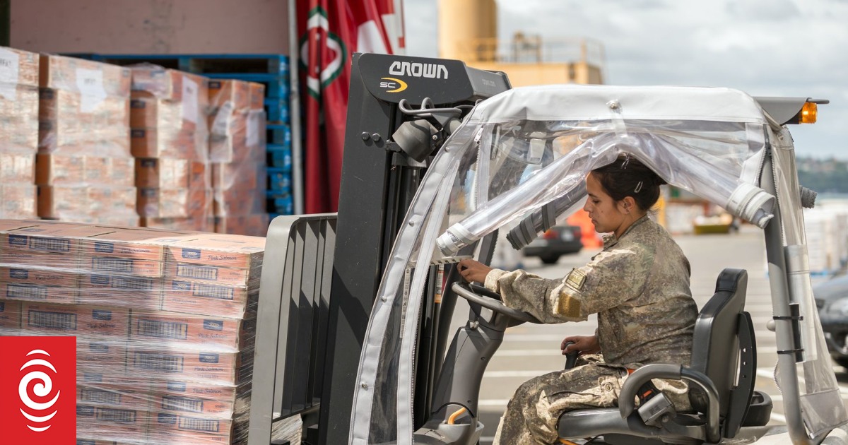 Multi national military team fixes buildings in Vanuatu | RNZ News