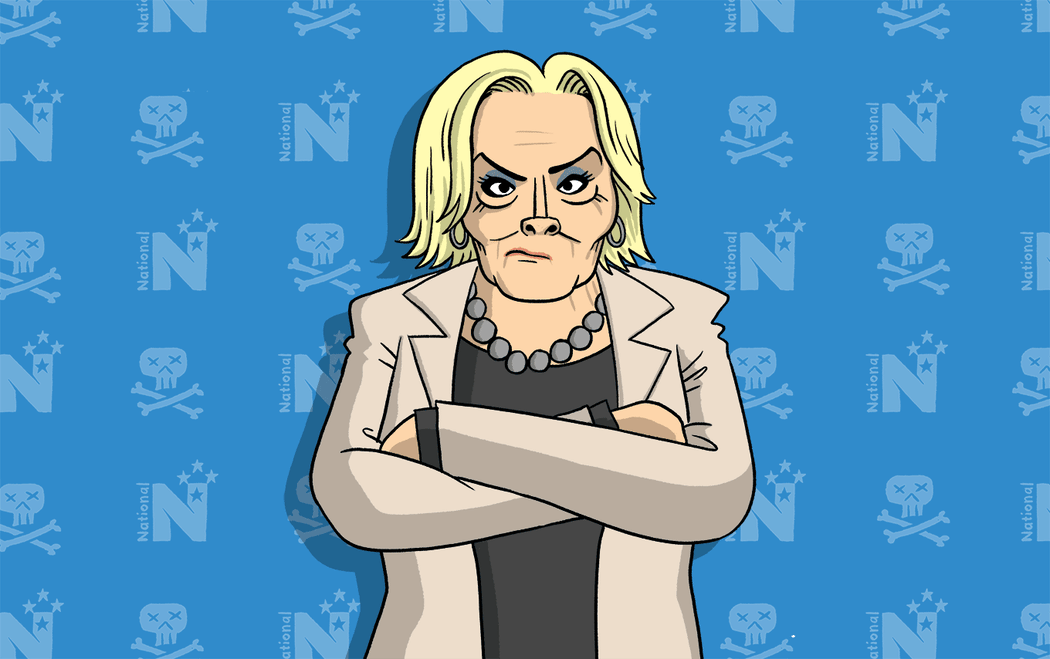 Toby & Toby: The National leader wannabes, digested | RNZ News