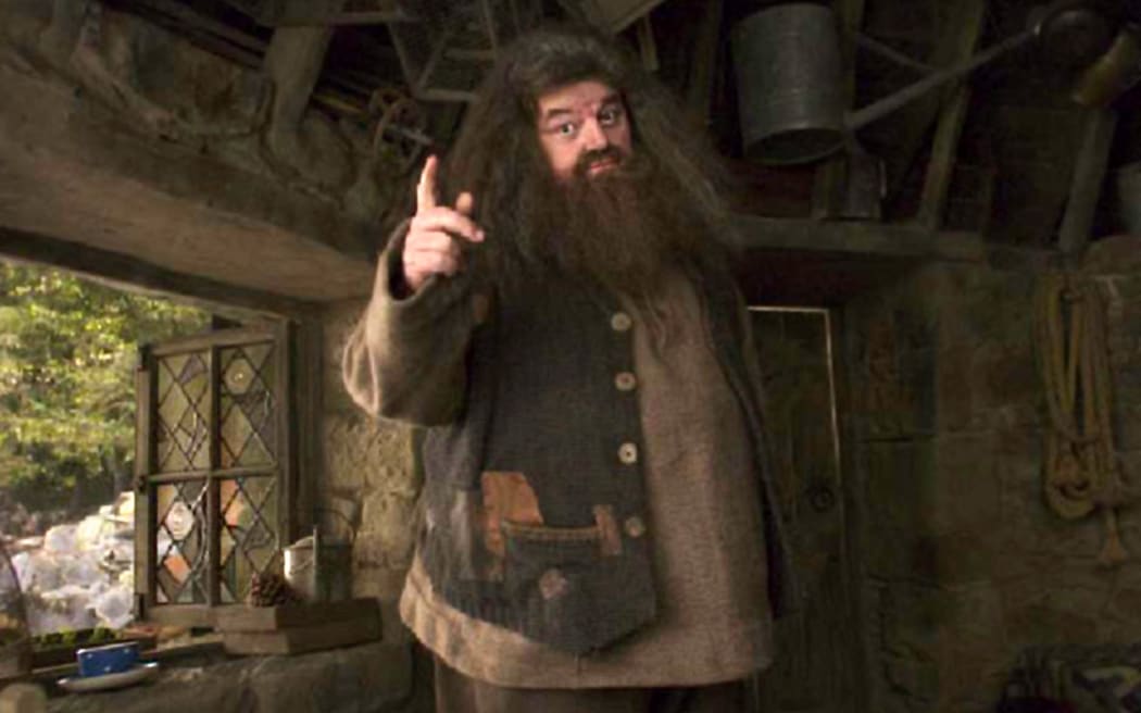 Robbie Coltrane: Harry Potter Hagrid actor dies | RNZ News