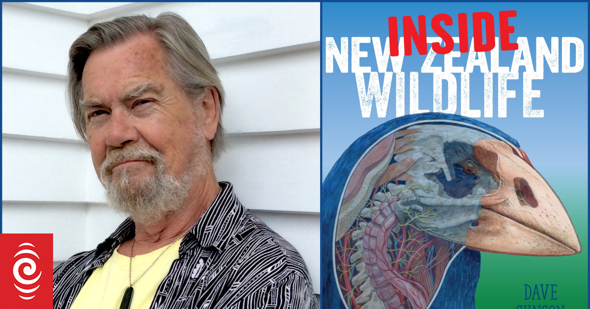 Artist and author Dave Gunson on going inside NZ wildlife | RNZ