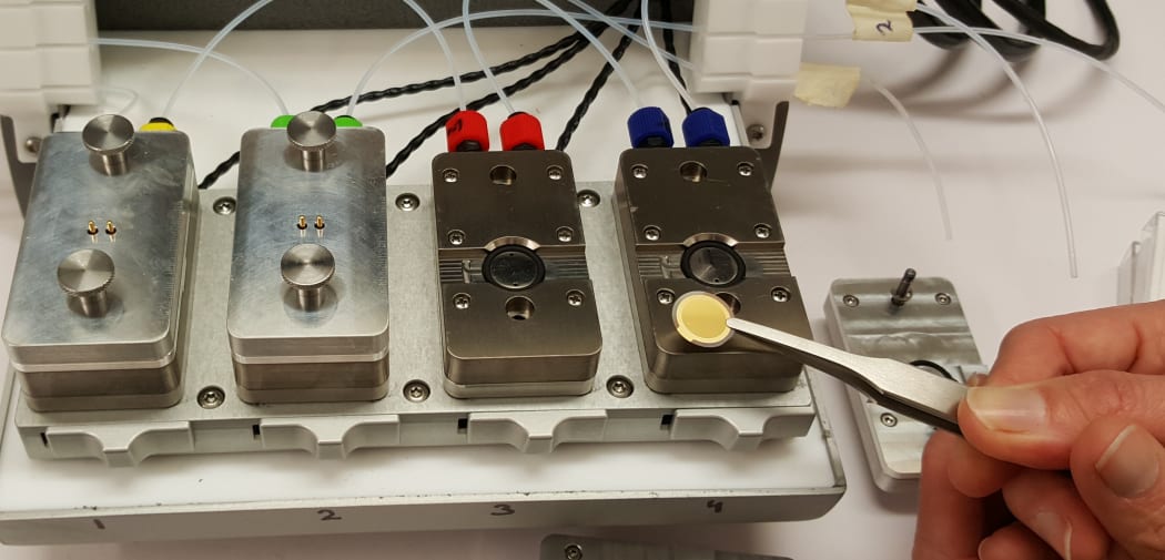 Engineering better stem cells | RNZ