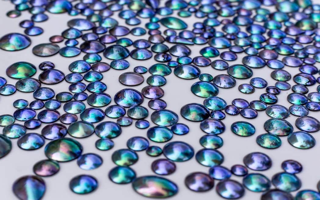 Paua pearls growing on land in Marlborough Sounds | RNZ