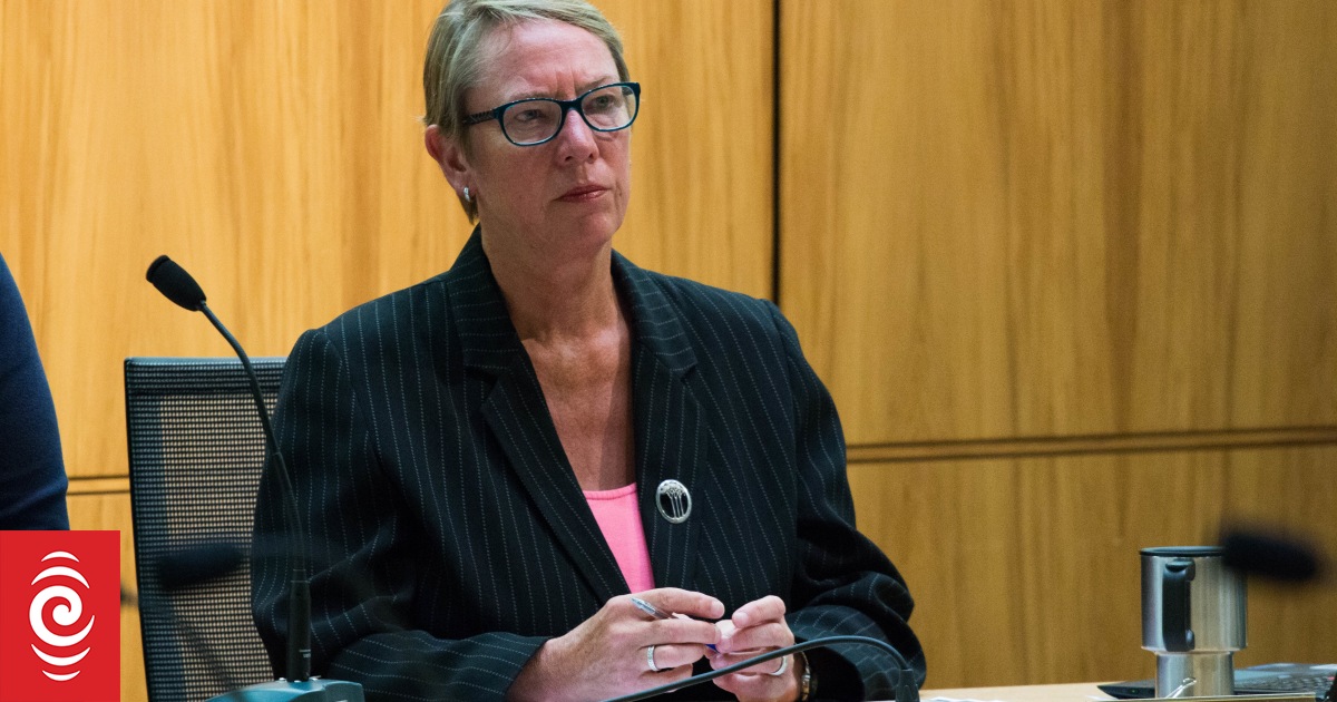 Ruth Dyson will not seek re-election after 27 years in Parliament | RNZ News
