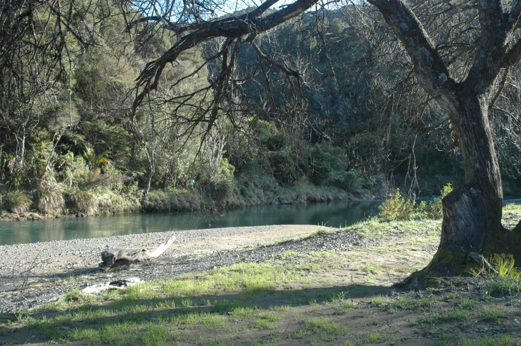 Bay of Plenty's Te Waimana community to self isolate, get tested after ...