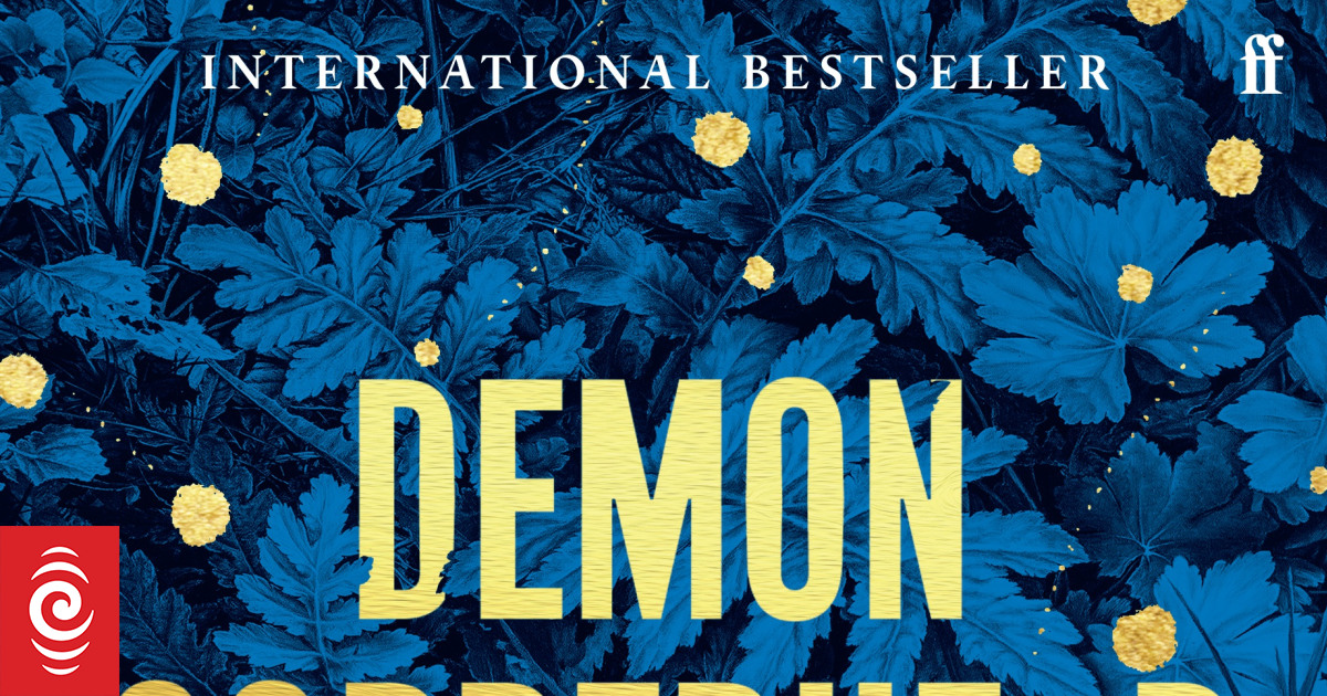 Book review: Demon Copperhead by Barbara Kingsolver | RNZ