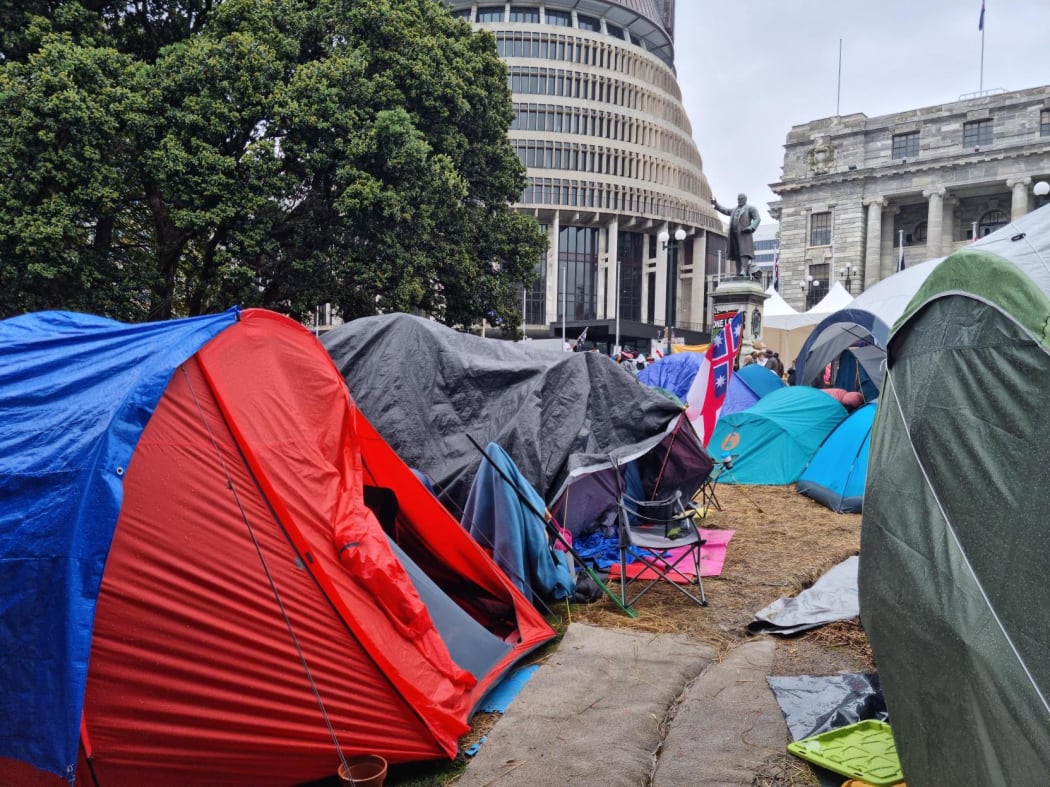 'We want our streets back' - Wellington mayor angry as protest ...