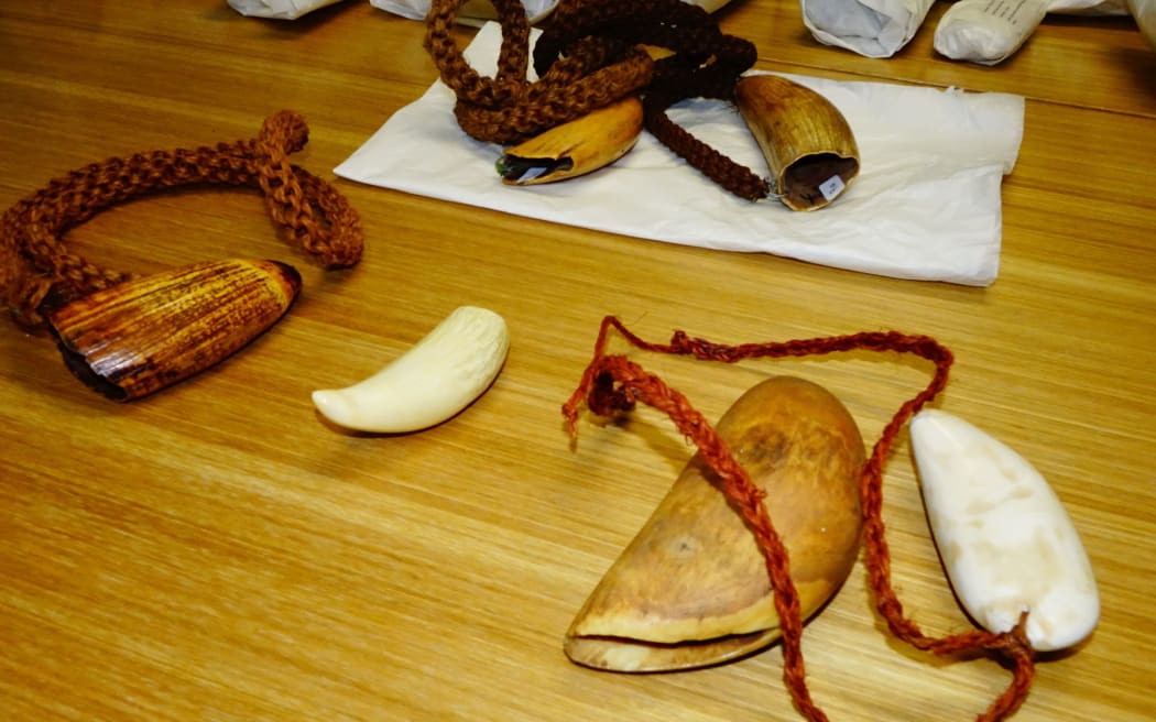 Repatriation of Tabua back to Fiji 'a rare event' | RNZ News