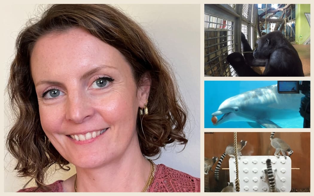 RNZ : National : Programmes : Sunday Morning